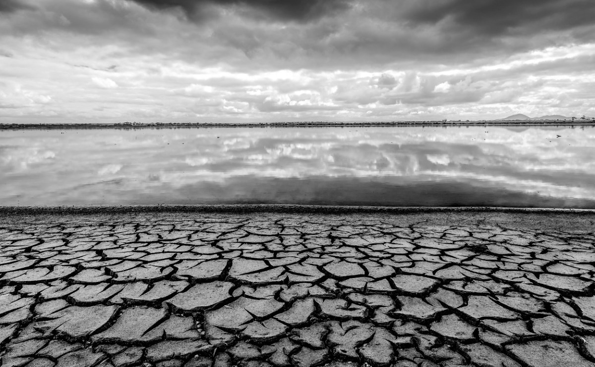 The Conversation: ‘Existential threat to our survival’: see the 19 ...