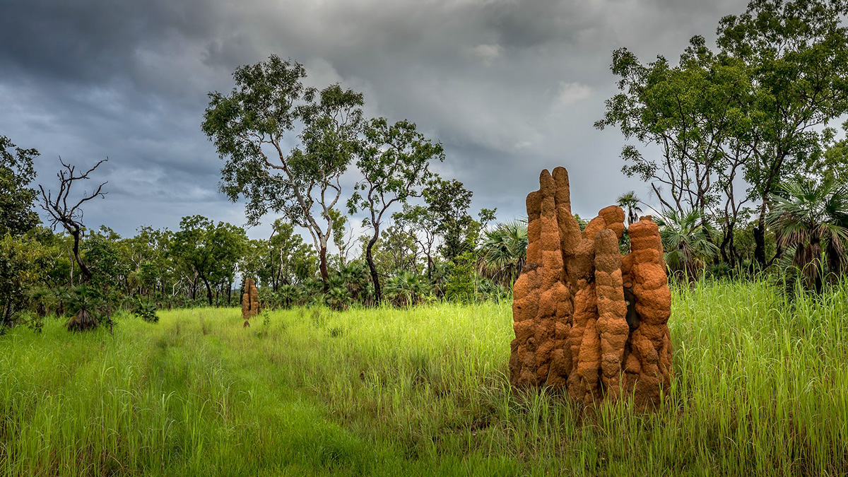 The Conversation: Land clearing and fracking in Australia’s Northern ...
