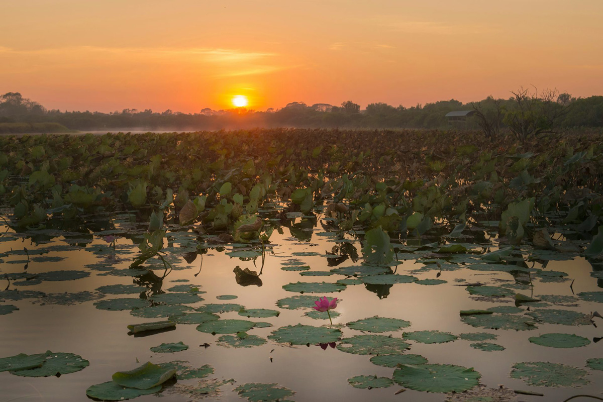 The Conversation: 5 things we need to see in Australia’s new nature ...